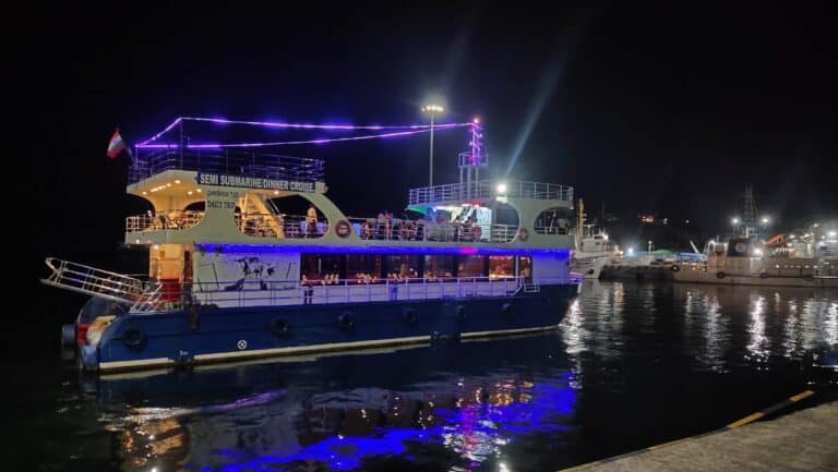 Evening Dinner Cruise in Port Blair @ 3,540/-pp