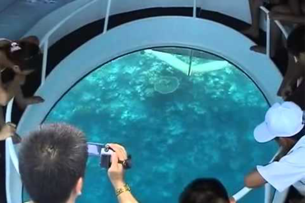 Glass Bottom Boat Ride in Andaman @ INR 800/-pp