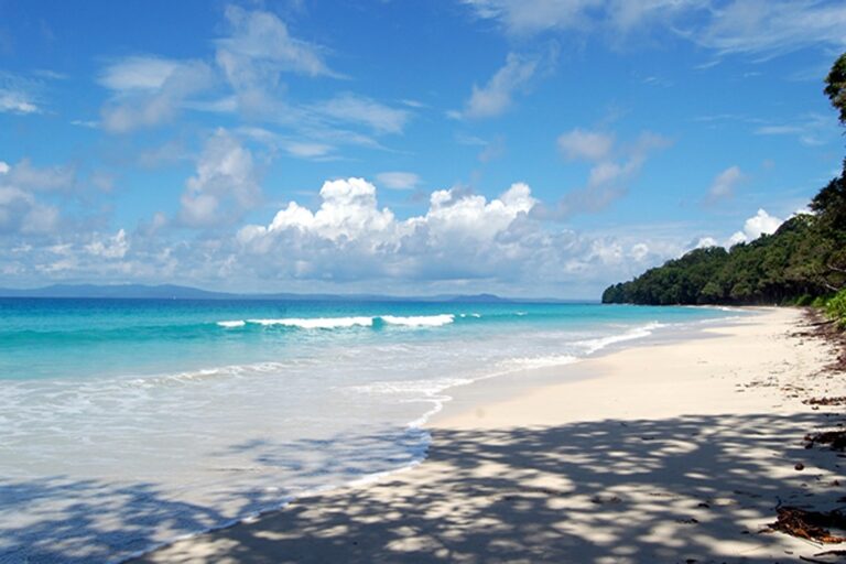 Best Beaches in Andaman Nicobar Islands