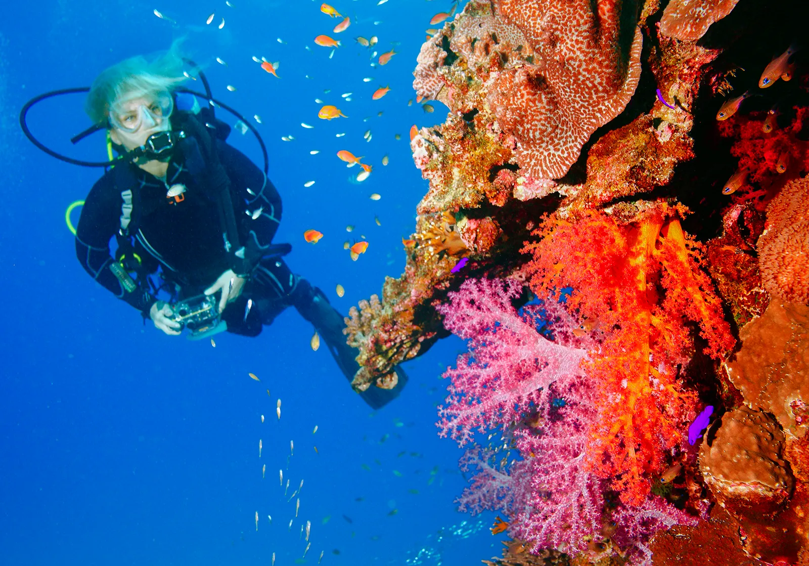 5 Nights 6 Days Andaman Itinerary @ 14,500/-pp